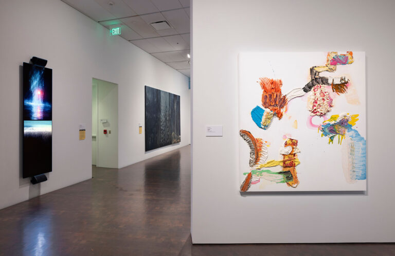 Denver Art Museum – Pia Fries